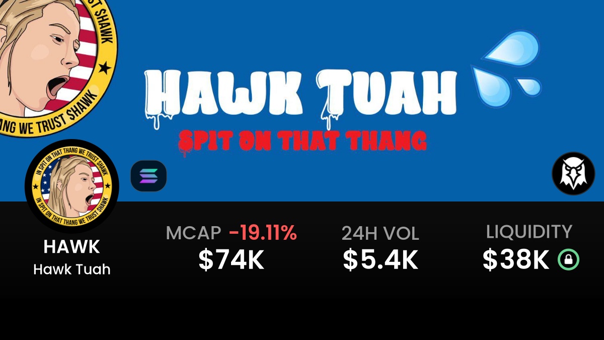 The Hawk Tuah Memecoin Debacle: Here’s What Went Wrong - Wealthy ...